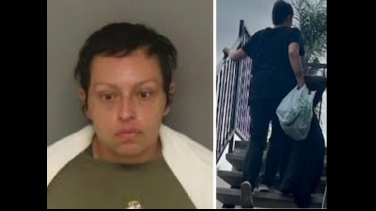Suspect Dulce Amaya Sought in Elderly San Diego Man's Murder, Police