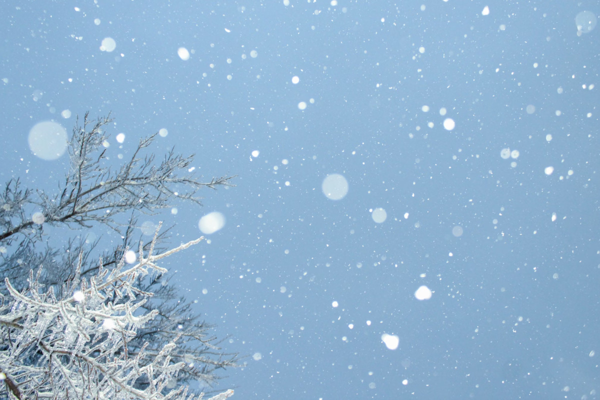 Texas Prepares for Freezing Temperatures, Forecast Less Severe Than