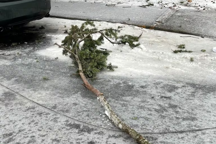 Three Family Members Fatally Electrocuted by Fallen Power Line in