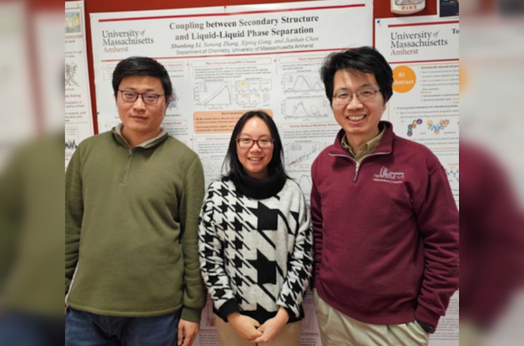 UMass Amherst Team Unveils Advanced Simulation for Elusive Proteins,