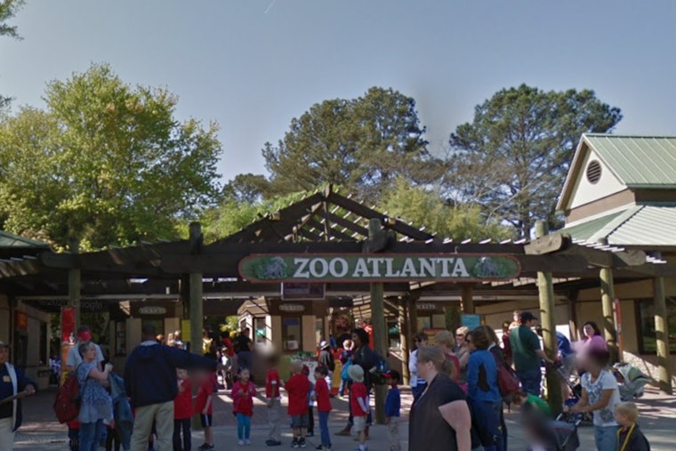Zoo Atlanta Closes Today as the City Braces for Arctic Temperatures