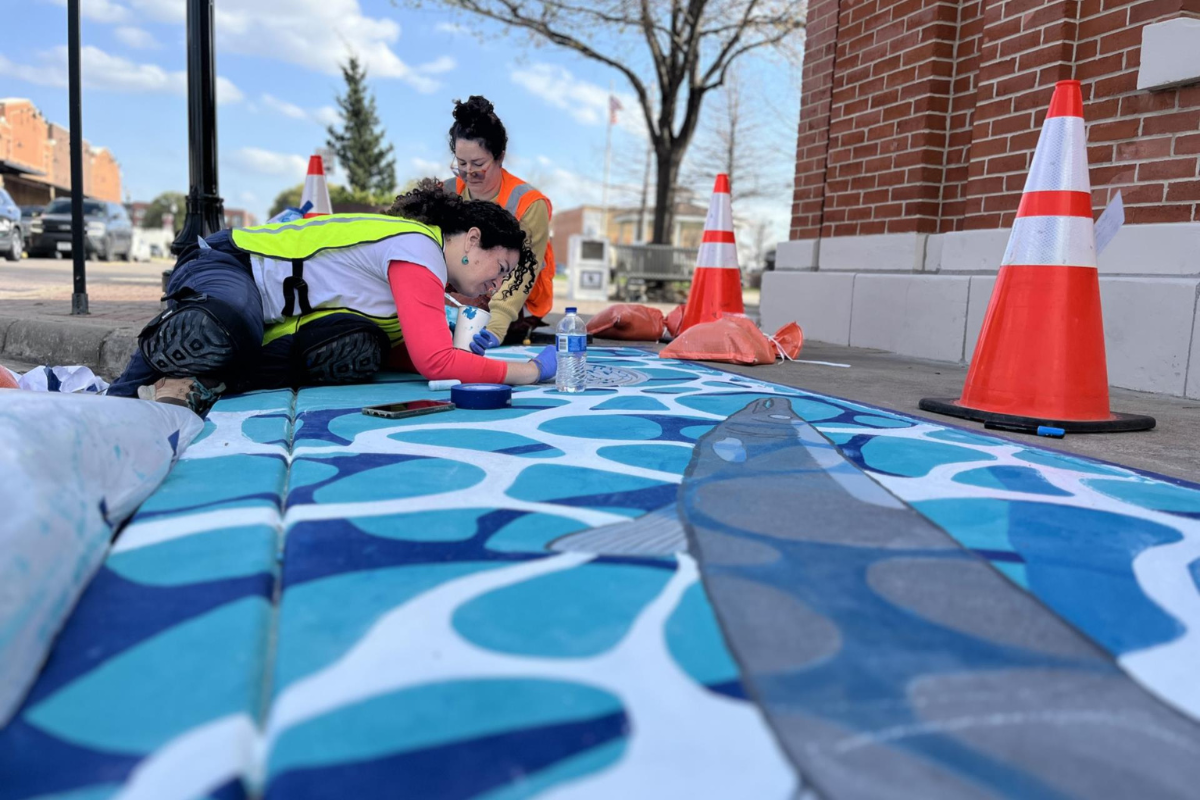 Carrollton Seeks Artists for Storm Drain Art Contest to Promote