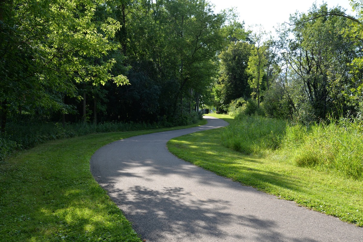 Carver County Seeks Dedicated Parks Maintenance and Forestry