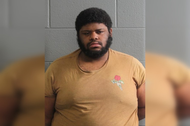 Chicago Man Charged with Armed Robbery on Train, Community Seeks
