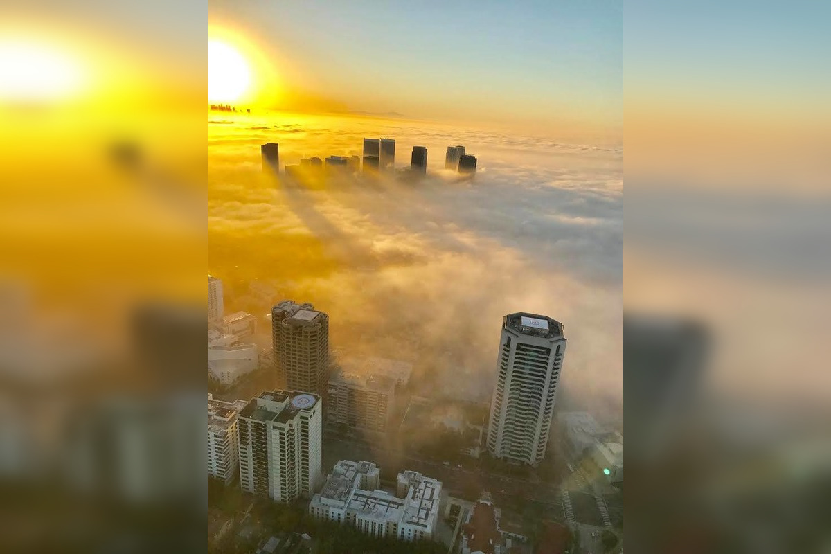 Dense Fog Advisory Issued for Los Angeles, Impacting Commutes in