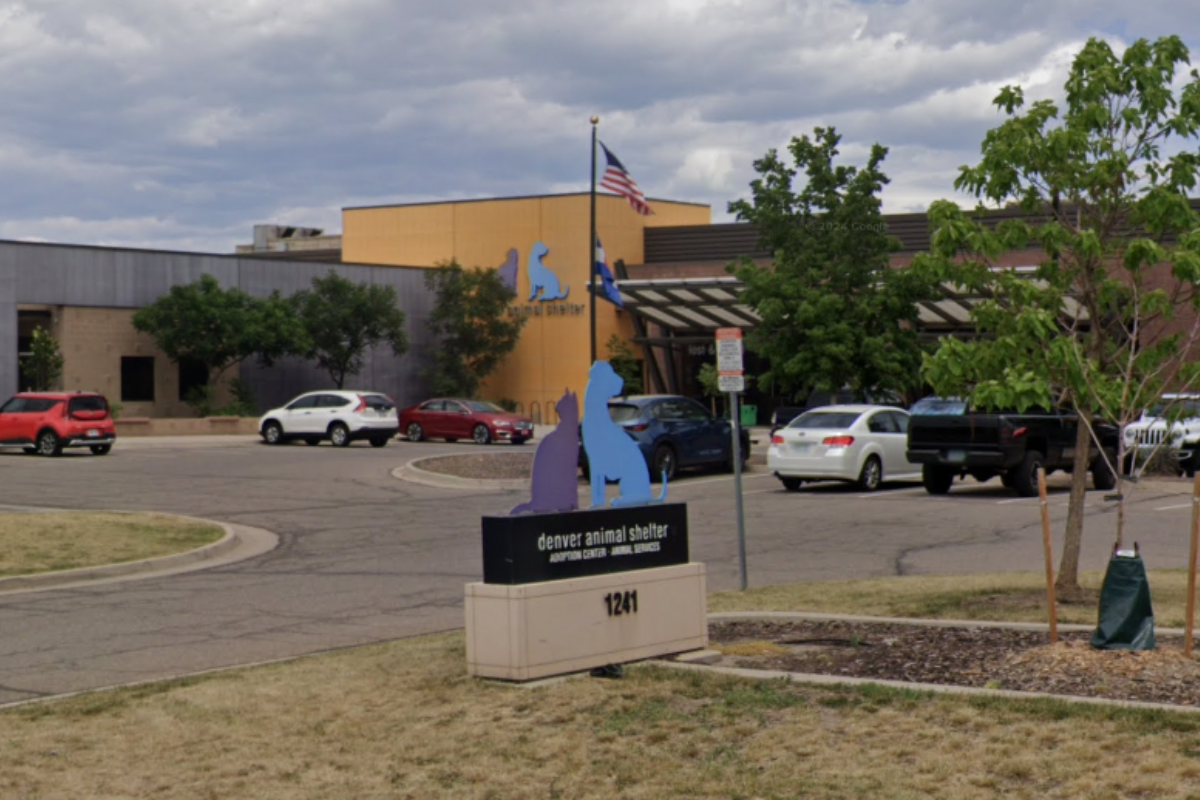 Denver Health and Animal Protection Agencies Share Crucial Safety Tips