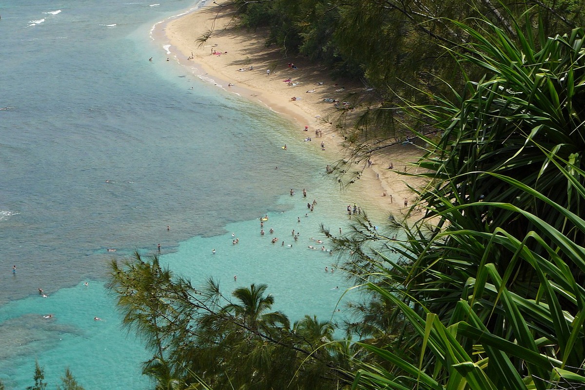 Hā‘ena Beach Park Swimming Advisory Issued After 10-Foot Shark