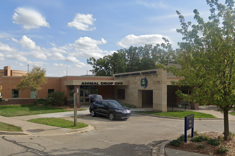 Kent County Rescue: 17 Dogs Found in One Pickup Truck as Legal Review