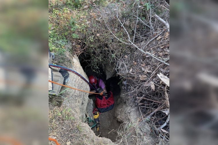 Lebanon Firefighters Heroically Save JoJo the Dog from Sinkhole After