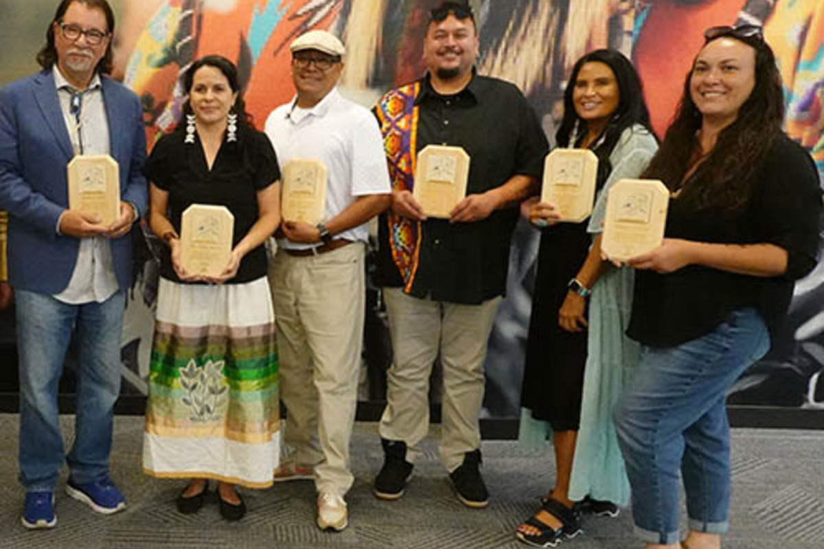 Metropolitan Council's Indigenous Advisory Group Urges Action Beyond