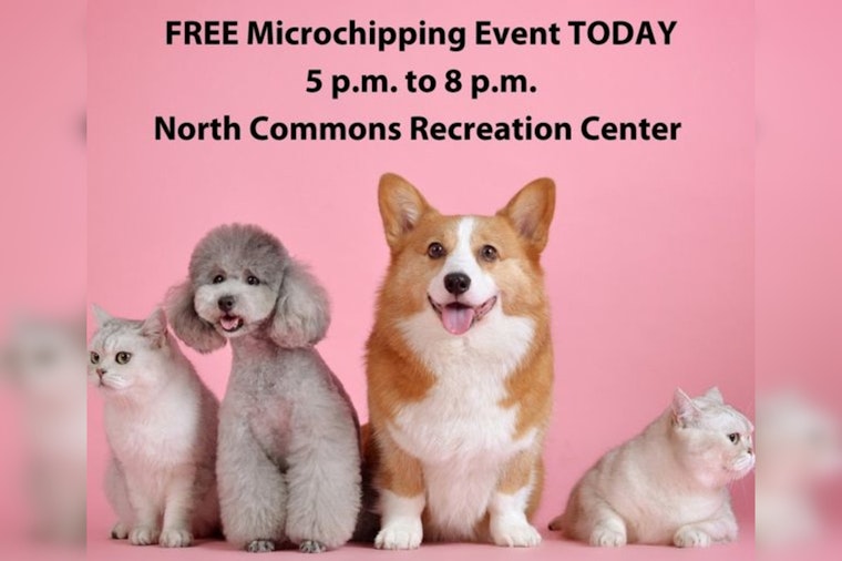Minneapolis Animal Care & Control Offers Free Microchipping to Enhance