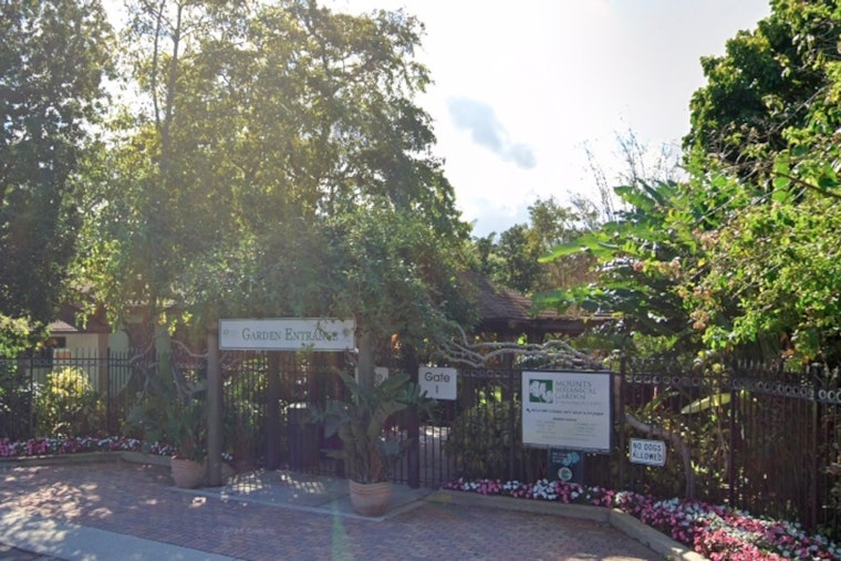 Mounts Botanical Garden's Plant-a-Palooza Set to Bloom in Palm Beach