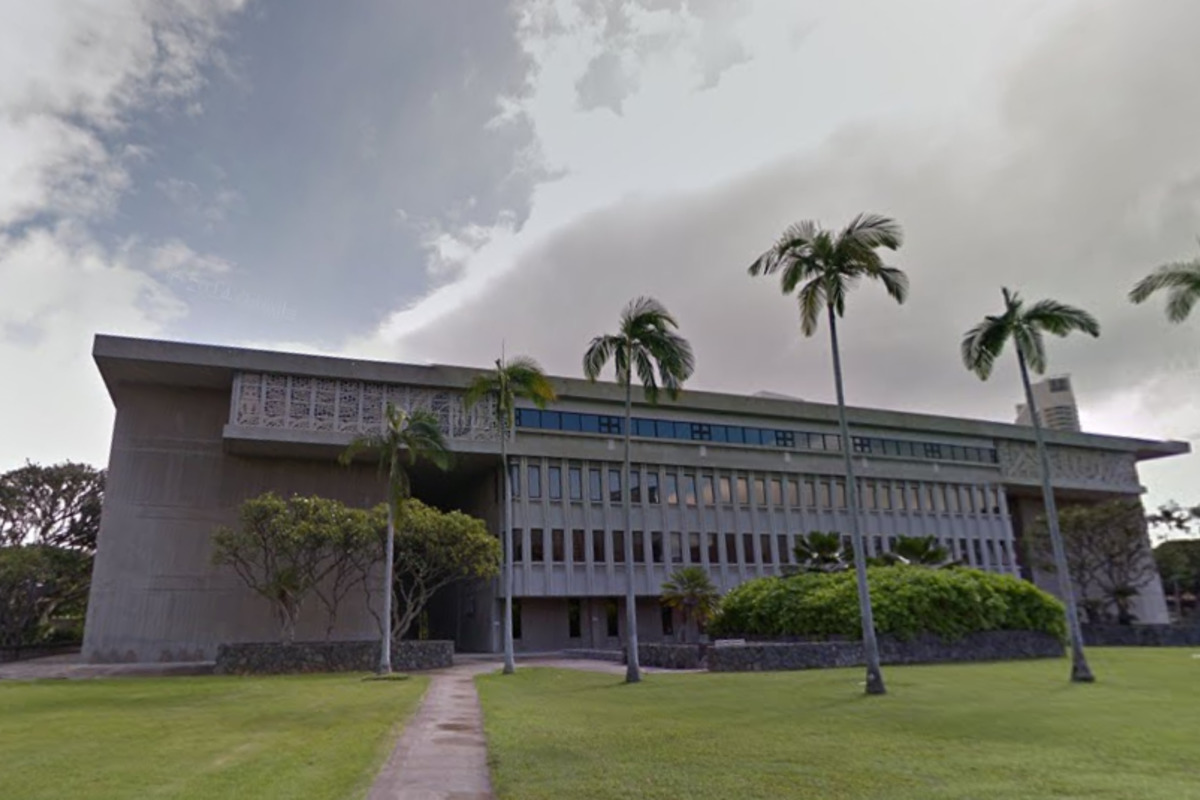 Native Hawaiian Crows Take Flight Towards Wild Reintroduction on Maui