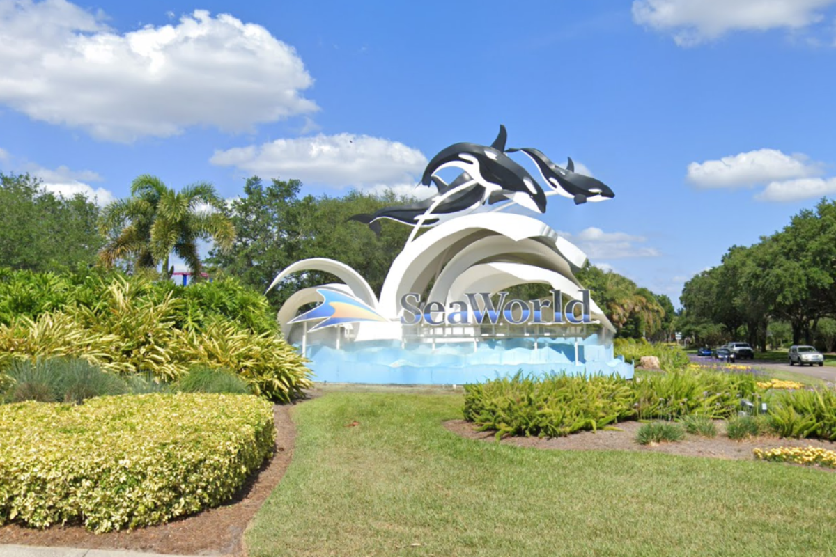 Orlando Theme Parks Announce Closures as Hurricane Milton Approaches