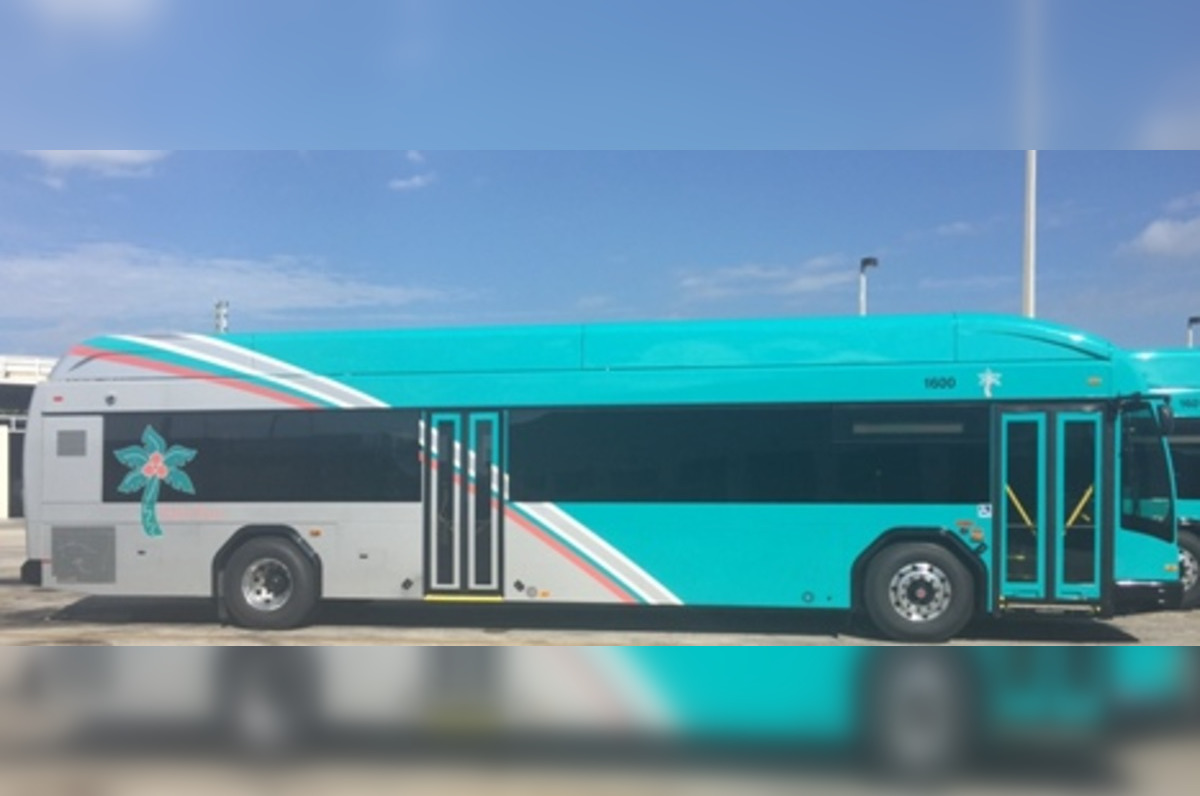 Palm Tran Halts Transit Services in Palm Beach County Ahead of