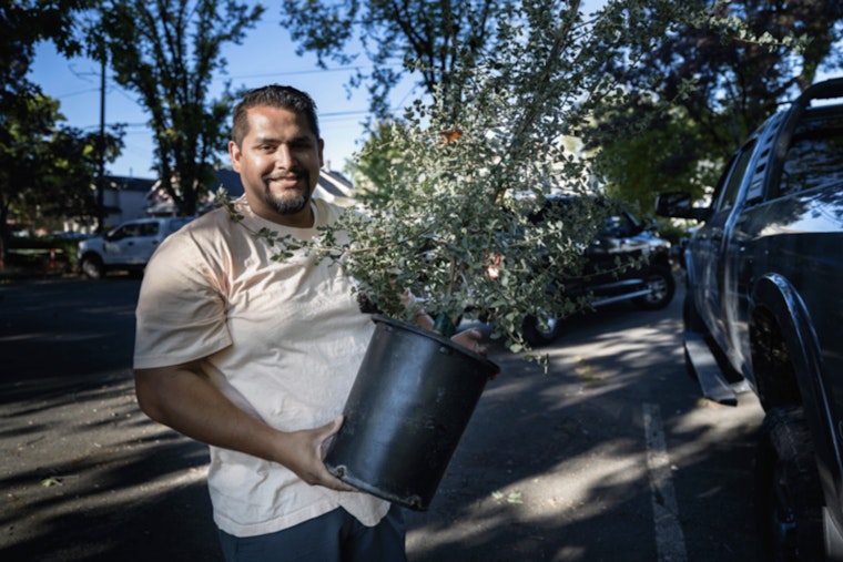 Portland Ups the Ante on Urban Canopy with 3,000 Free Trees for Local
