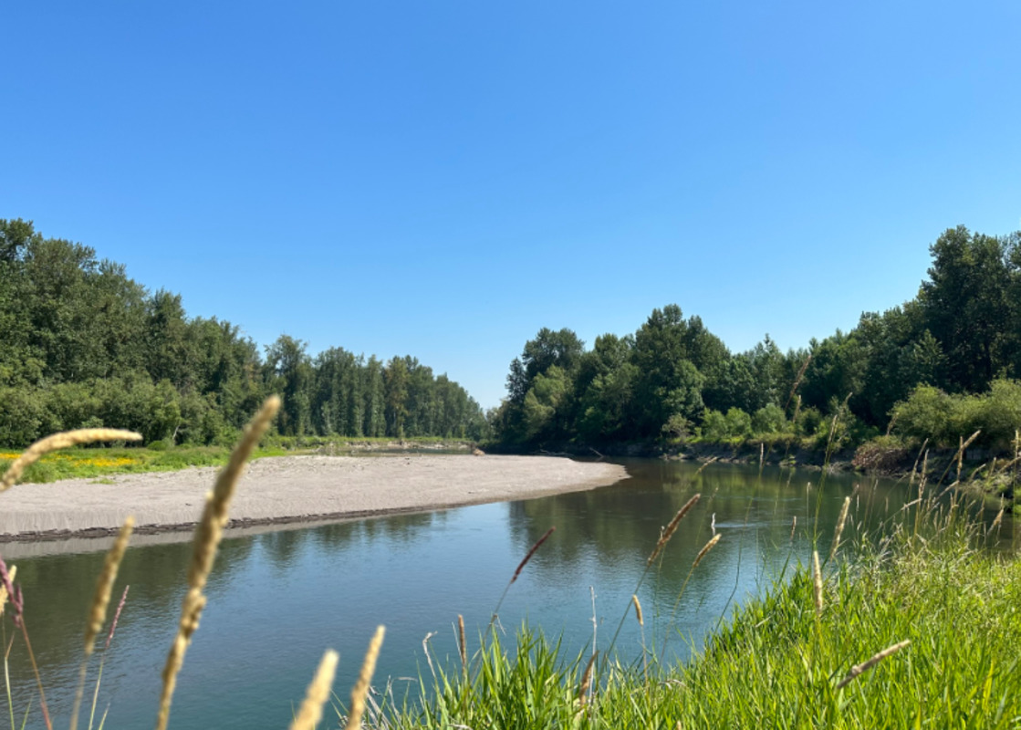 Portland's October Weather, Sunny Days Ahead with Crisp Evenings,