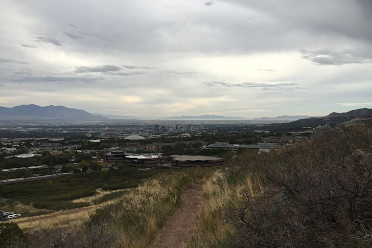 Residents Gear Up for Downpour: Salt Lake City Faces 100% Rain Chances
