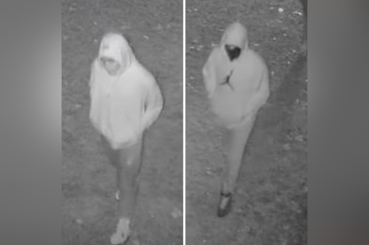St. Louis Police Request Community Help to Identify Suspects in