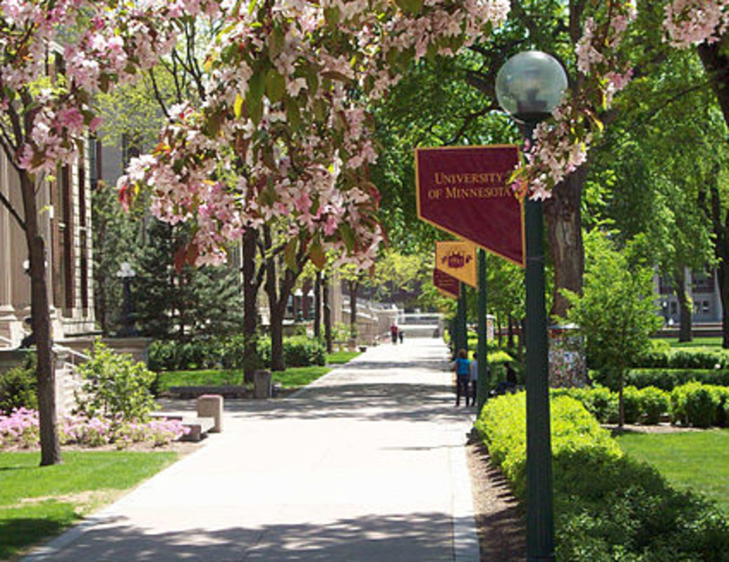 University of Minnesota Taps Gregg Goldman as New Executive Vice