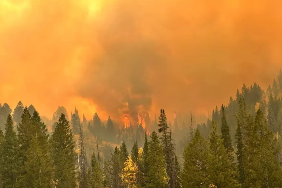 Yellow Lake Fire Escalates to Over 10,800 Acres Amid Red Flag