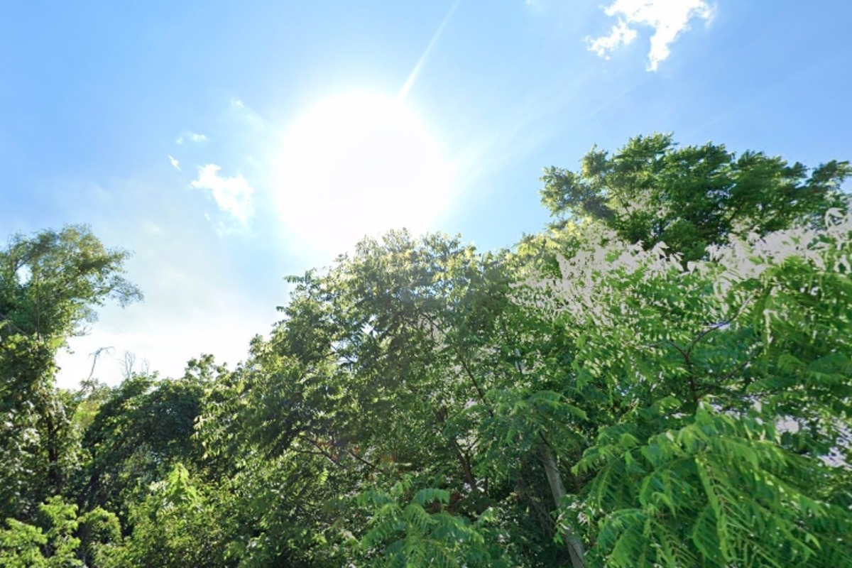 Brisk Winds and Sun in St. Louis with a Chilly but Clear Forecast