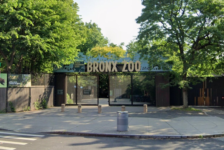 Bronx Zoo Sparkles with Return of Holiday Lights Event, A Bright