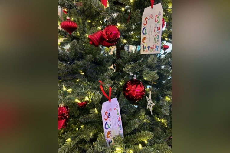 Cabarrus County Honors Wendy Gainey's Legacy with Charity Christmas