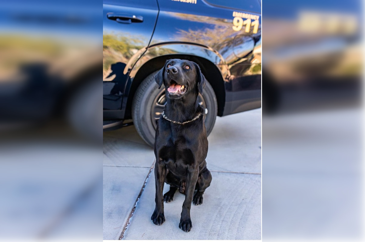Clark County School Community Mourns the Loss of Beloved K9 Officer