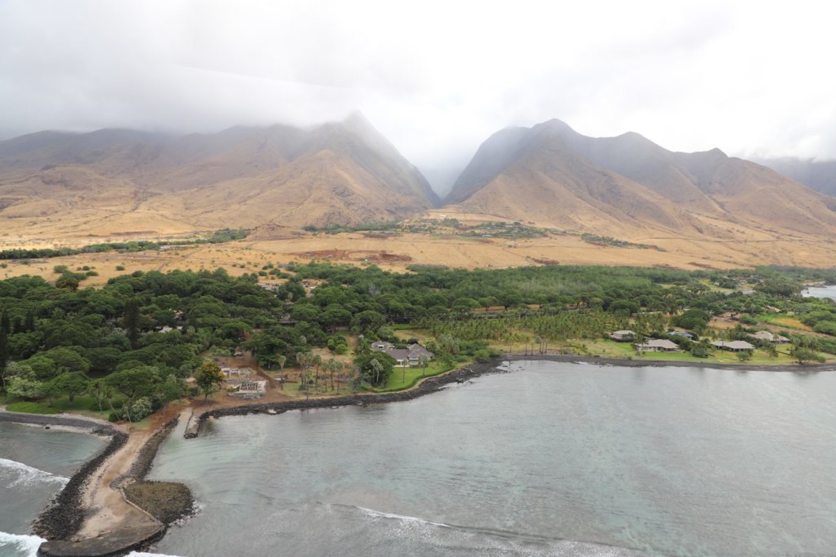 $9.9 Million NOAA Grant Fuels Maui's "Mother Reef" Restoration Effort