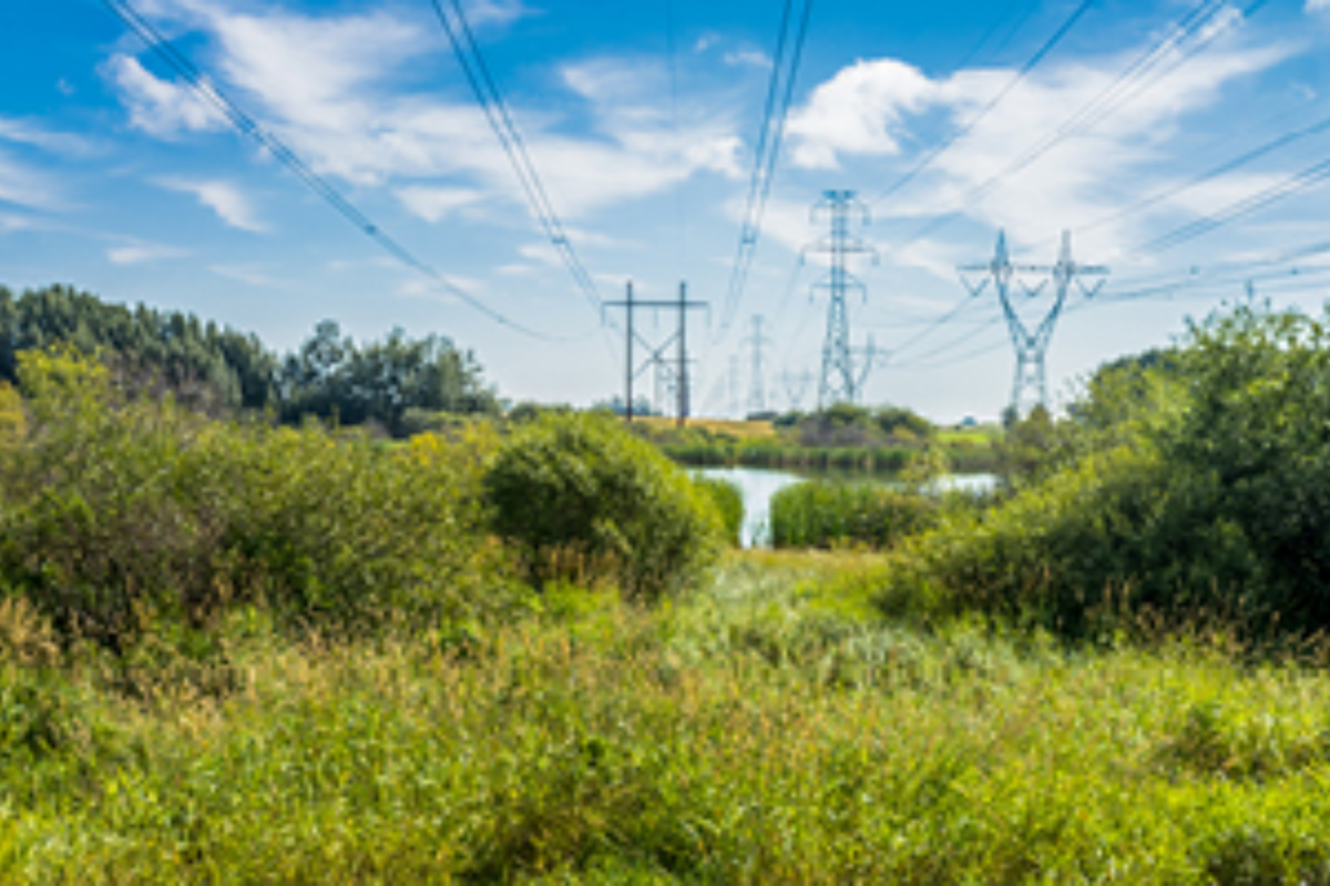 Ohio Supreme Court Grants Ohio Edison Green Light to Use Herbicides