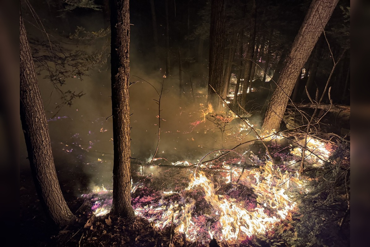 Over 100 Homes Evacuated Amid Intensifying Jennings Creek Fire in