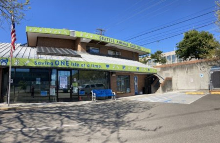 Seattle Animal Shelter and Green Fleet Team Honored with SMA Awards