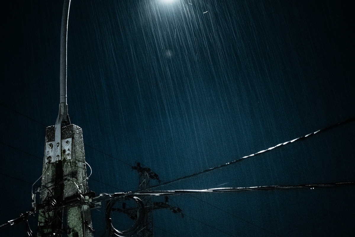 Seattle on Alert: Wind Advisory Issued with Gusts Up to 50 MPH and