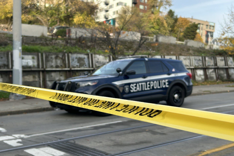 Suspect in Custody After String of Stabbings in Seattle's