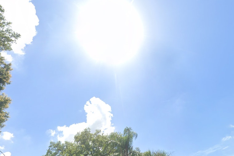 Tampa Bay to Enjoy Sunny Veterans Day with Mild Temps, Pleasant Week