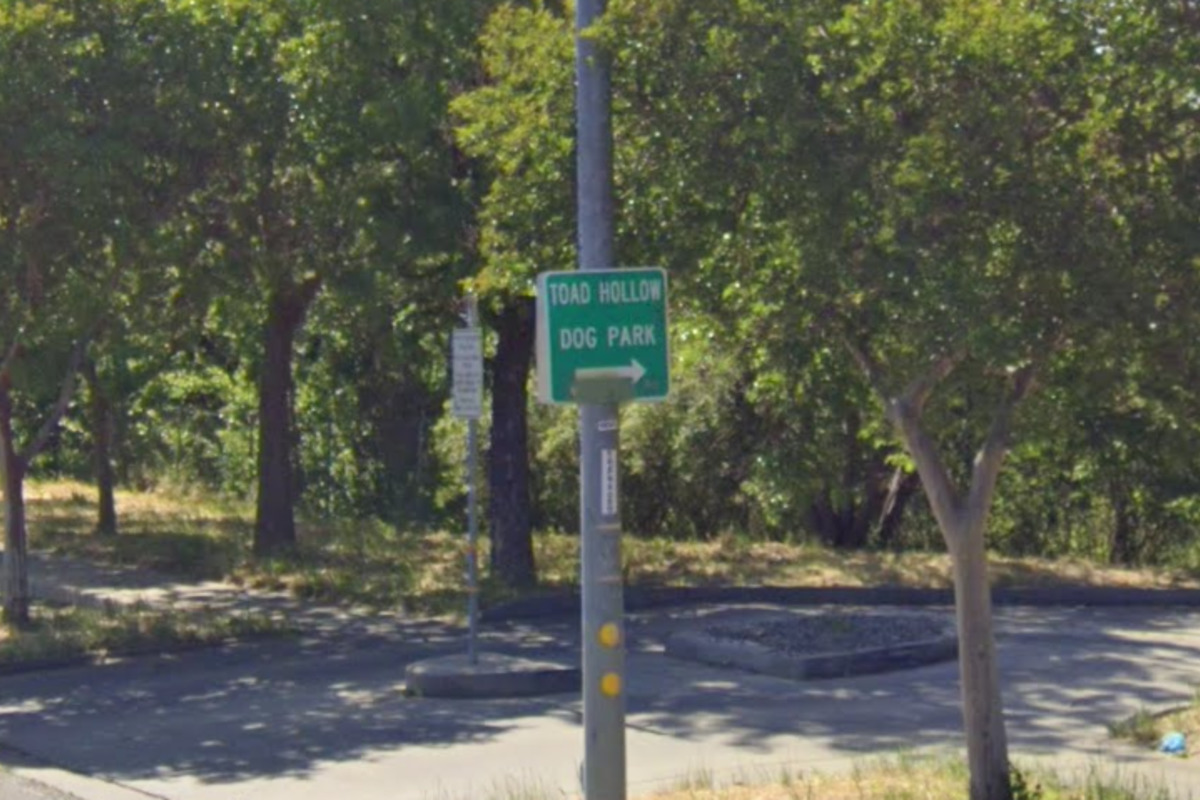 Toad Hollow Dog Park in Davis Reopens After Rain Closure: Muddy Paws