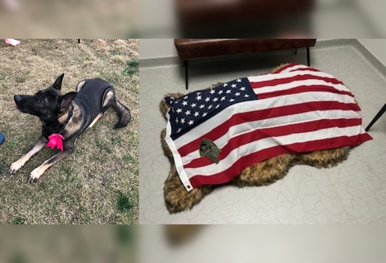 Williamson County Sheriff’s Office Honors Legacy of Beloved K9 Enzo