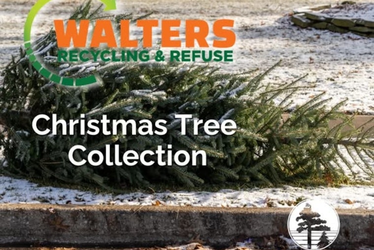 Blaine, Minnesota Offers Convenient Christmas Tree Disposal with
