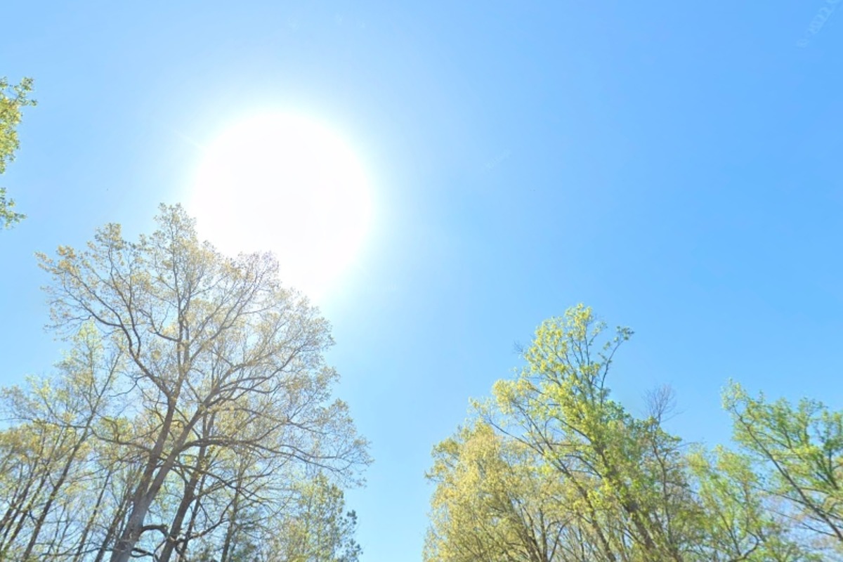 Chill Descends on Bay Area as Raleigh Faces Unseasonably Cold Weather