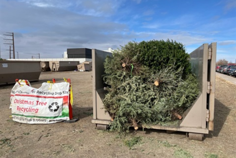 Denver Invites Residents to Recycle Holiday Trees and Lights for a