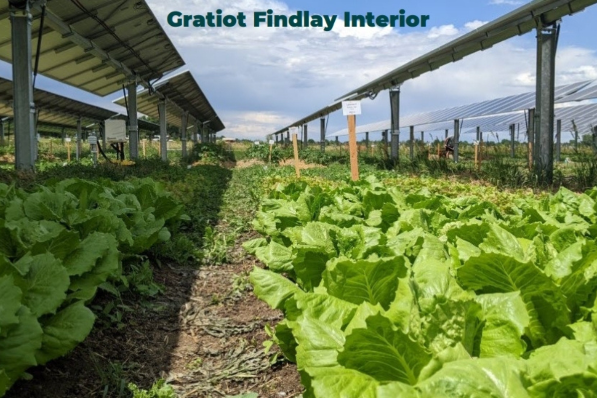 Detroit Communities Embrace Final Solar Array Designs as City