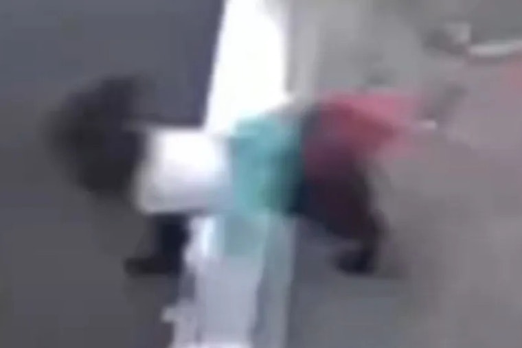 Eagles Cornerback Kelee Ringo's Mother Pleads for Return of Stolen Dog