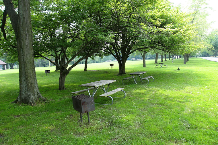 Ecological Renaissance: Ohio DNR Launches Dam Removal and Creek