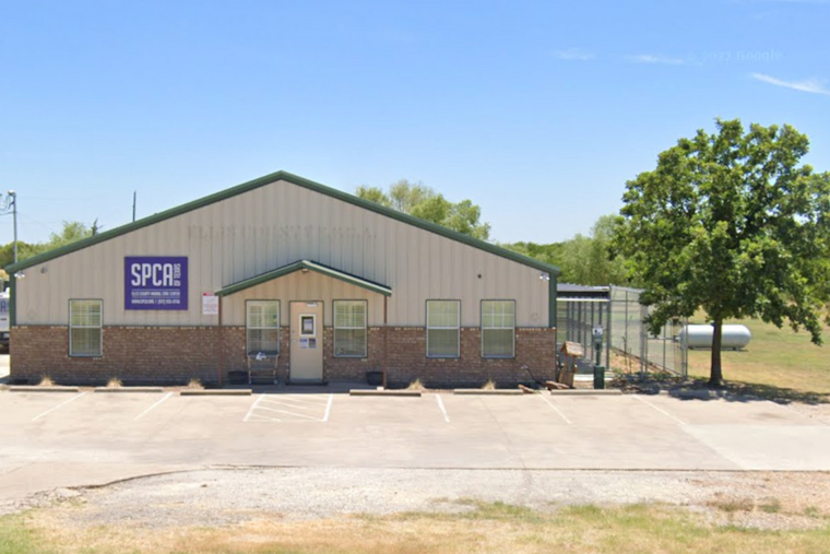 Ellis County SPCA Reopens After Health Scare, All Animals Clear of