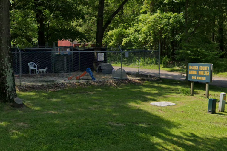 Geauga County in Turmoil: Dog Warden's Fate Uncertain, Shelter