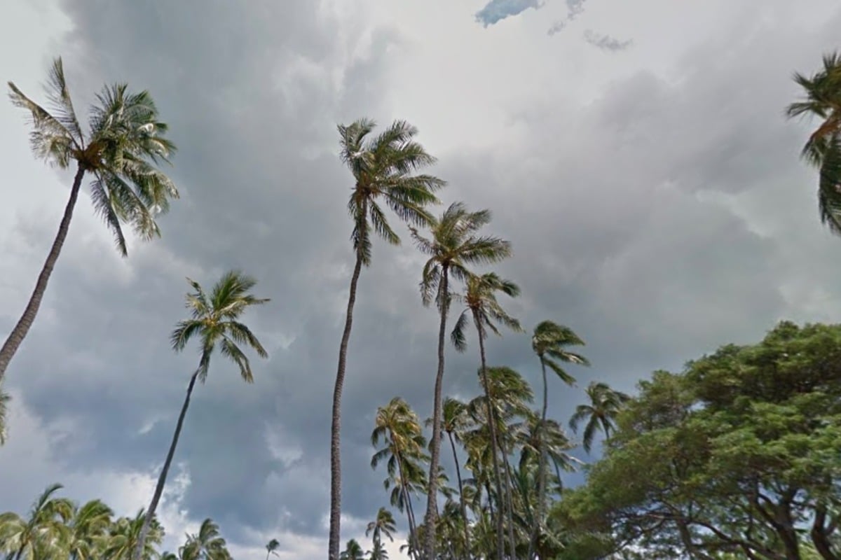 Honolulu Forecast Shows Trade Winds Persist and Showers Increase Over