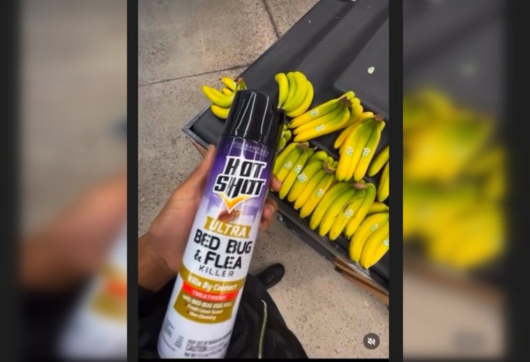 Mesa Man Charged with Poison Introduction After Filming Pesticide