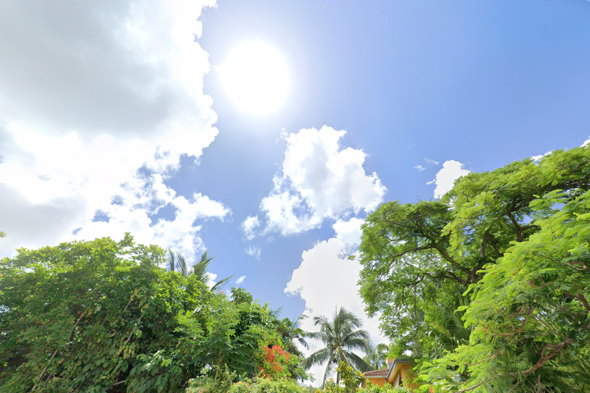 Miami Forecast: Sunny Skies and Warmth Today, Cooler Weekend Ahead