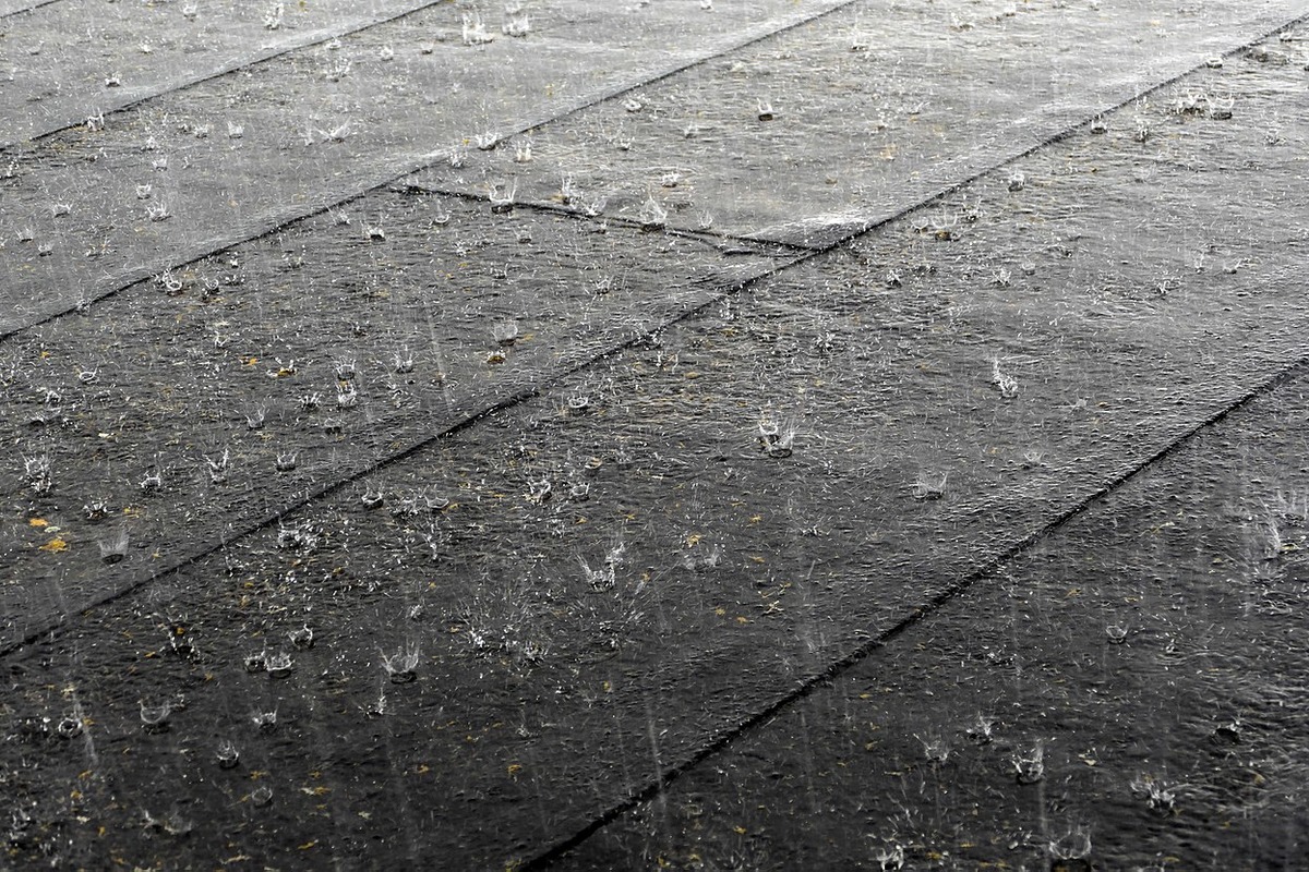 Seattle Braces for Continued Rain: NWS Forecasts Chilly, Wet Week